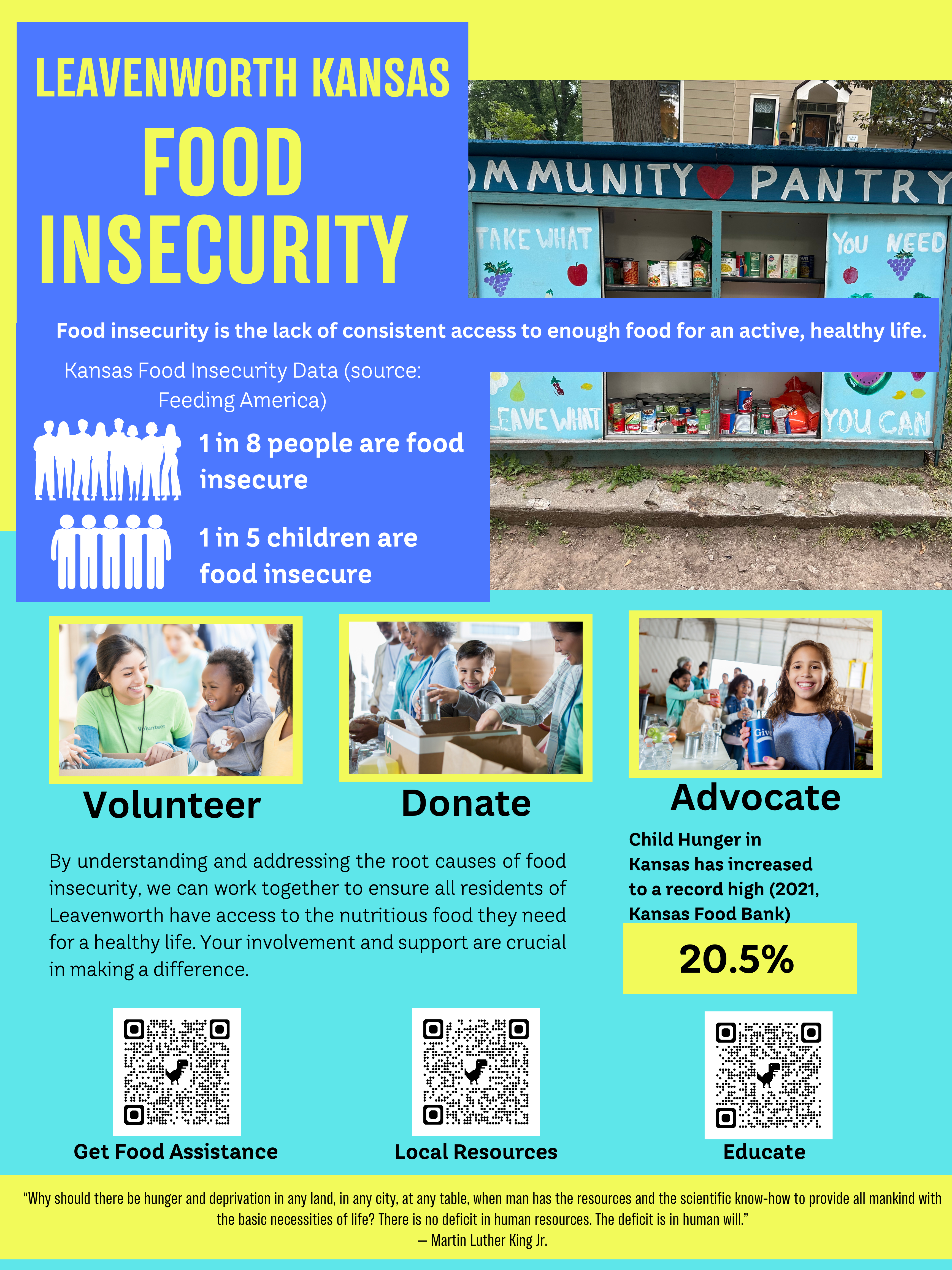Food Insecurity – The Community Pantry Project